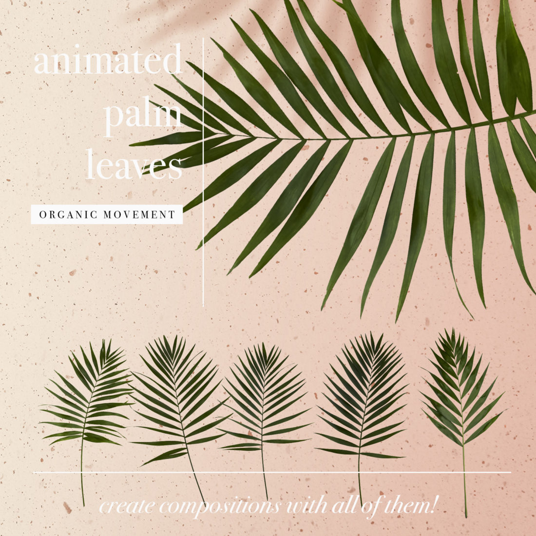 06-organic-shadow-overlay-mockup-palm-leaves-animation - anayvy.com